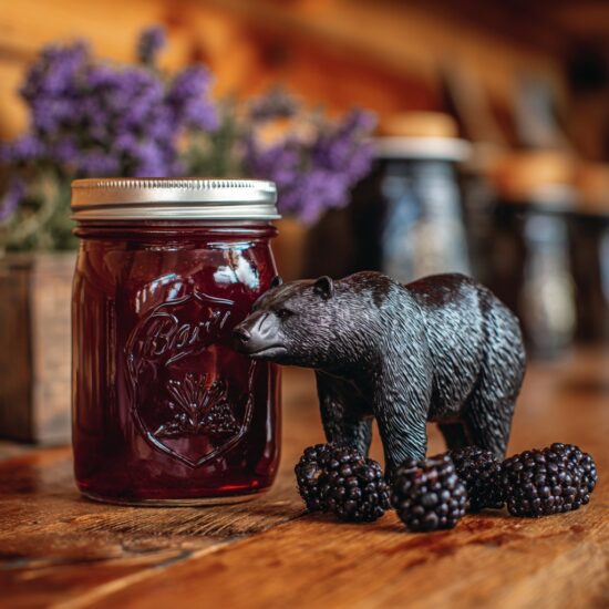 Black Bear Jam Recipe - Dish Bloom
